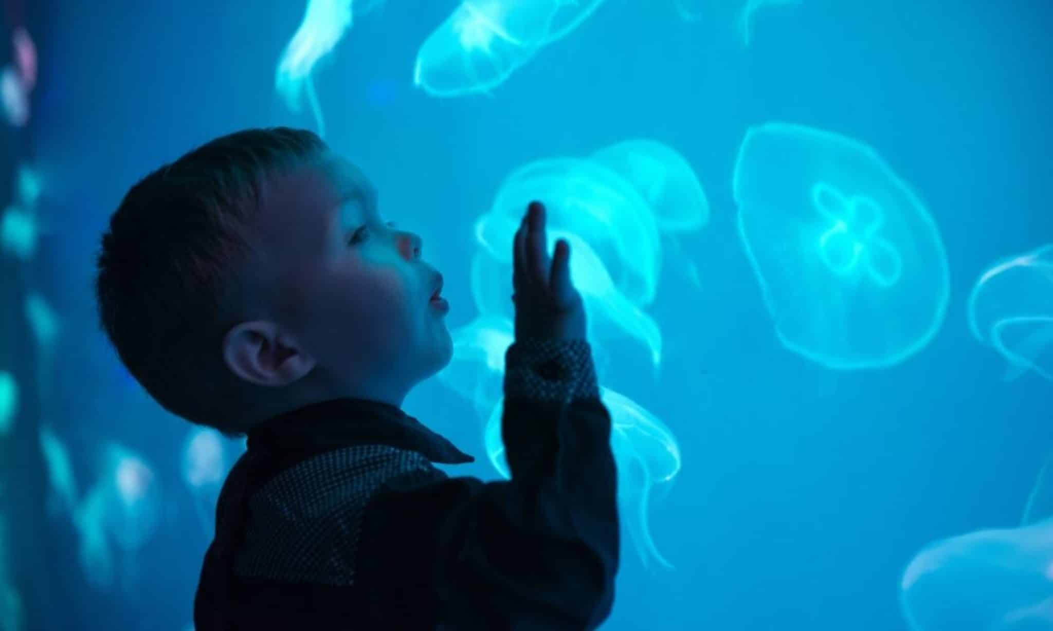 Fun Field Trip Ideas For Daycare Students fun-field-trip-ideas-for-daycare-students