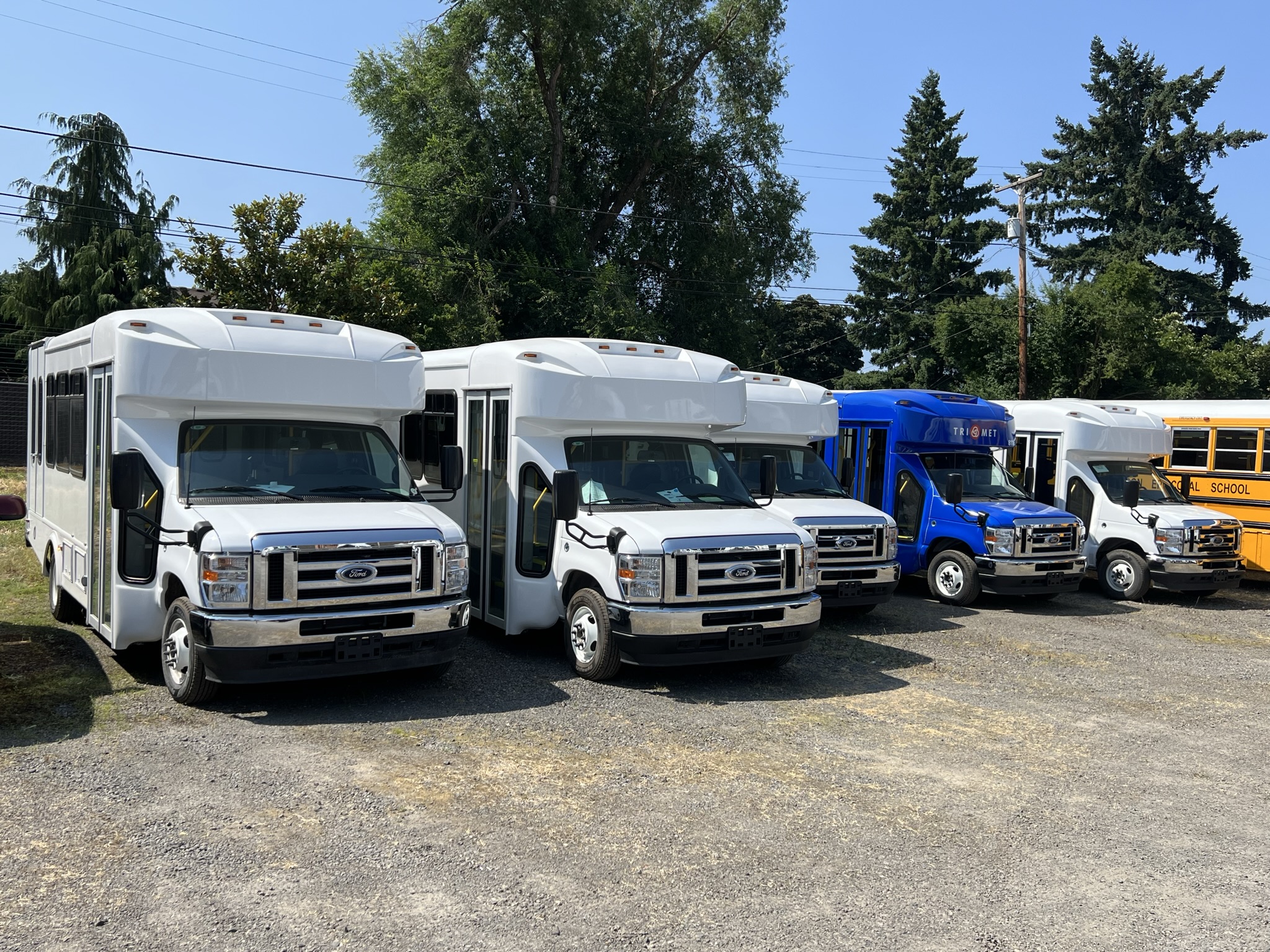 Transit Vehicle Procurement Guide - Schetky Bus and Van Sales